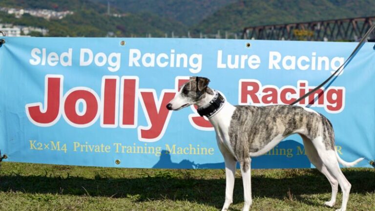 Jolly’s【ルアーコーシング】Lure Racing CHAMPIONS Wakayama | ウィペット姉妹｜ローツェ＆ヌプツェの日常